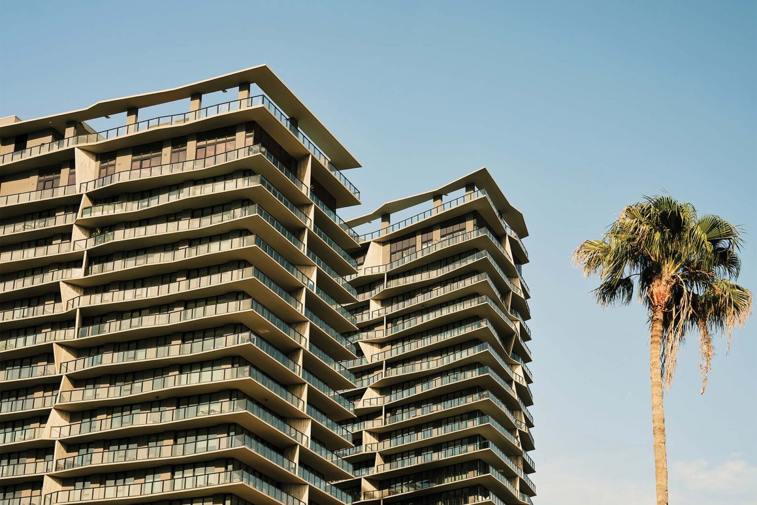 Sundays Unleashed: The Market at Water Street Tampa - CURRENT